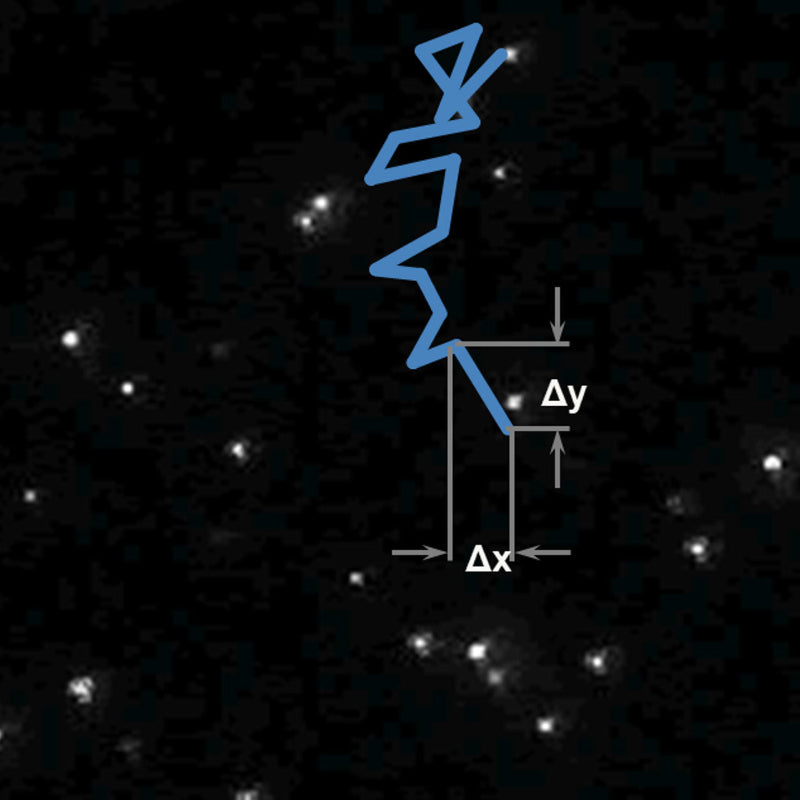 ZetaView® Evolution – Advanced Nanoparticle Tracking – Particle Metrix GmbH